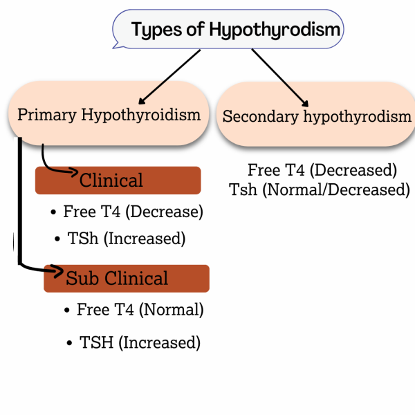 Treatment for Hypothyroidism – Caitanya Healing by Homeopathy